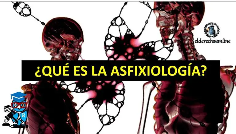 ¿Qué es la Asfixiología? – El Derecho Online