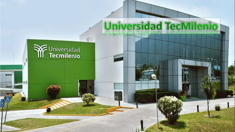 Universidad TecMilenio 2024-2025 🥇
