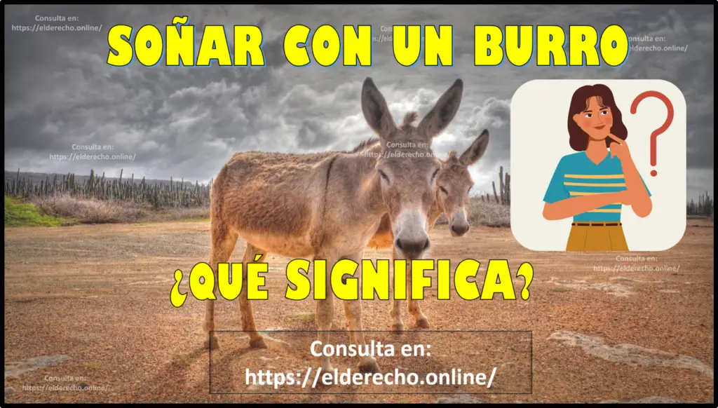 Soñar Con Un Burro ¿Qué Significa Este Sueño? 🥇 El Derecho Online【2025