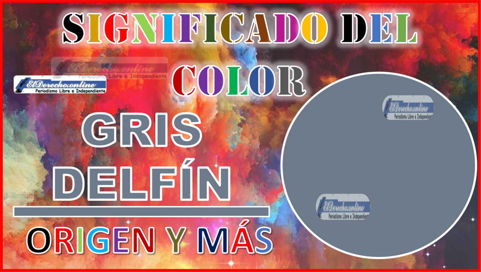 El Color Gris Delfín, Significado, Origen Y Más 🥇 El Derecho Online【2025