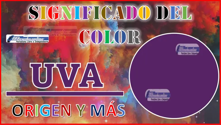 El color Uva, significado, origen y más – El Derecho Online